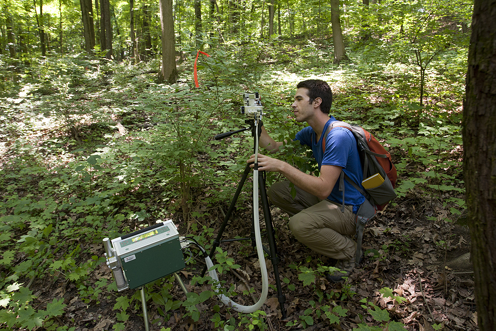 UC Center for Field Studies blends high-level science and deep-woods ...