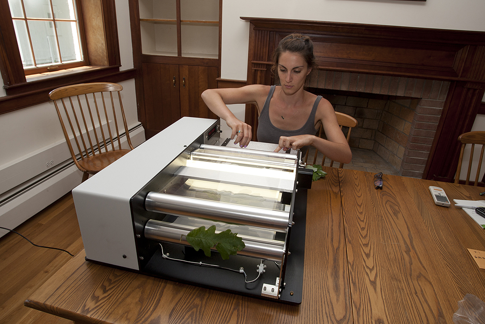 UC Center for Field Studies blends high-level science and deep-woods ...