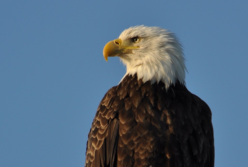 Countdown to calamity, University of Cincinnati