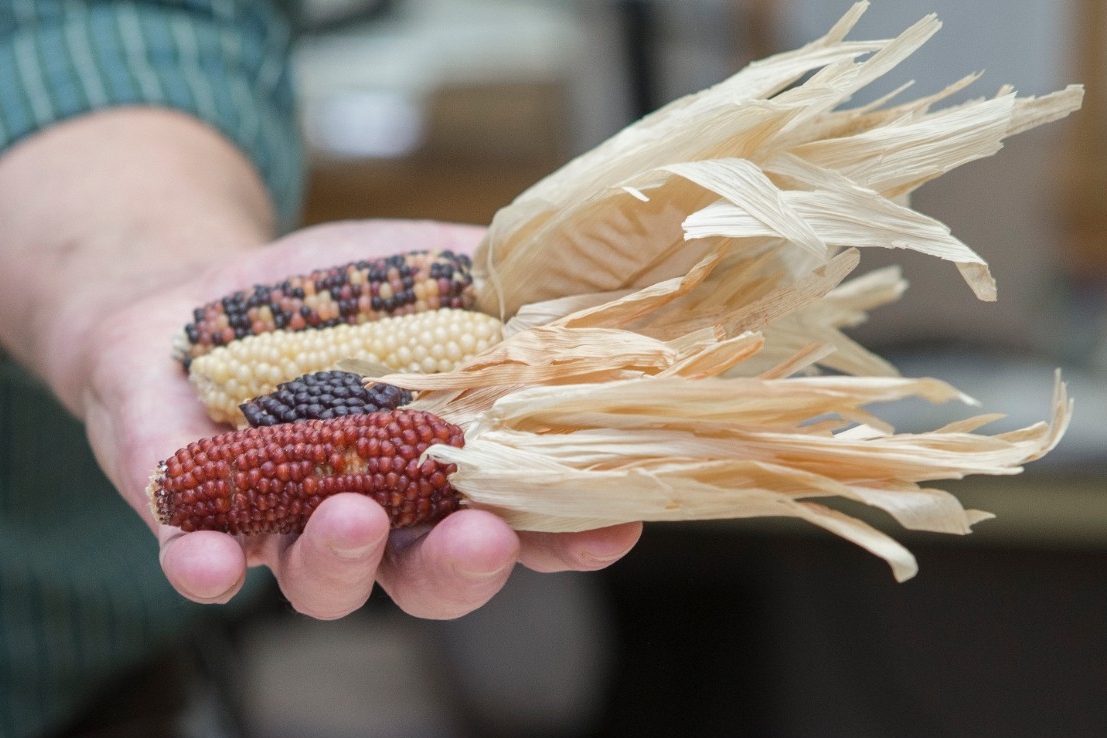 Popping the corn theory, University of Cincinnati
