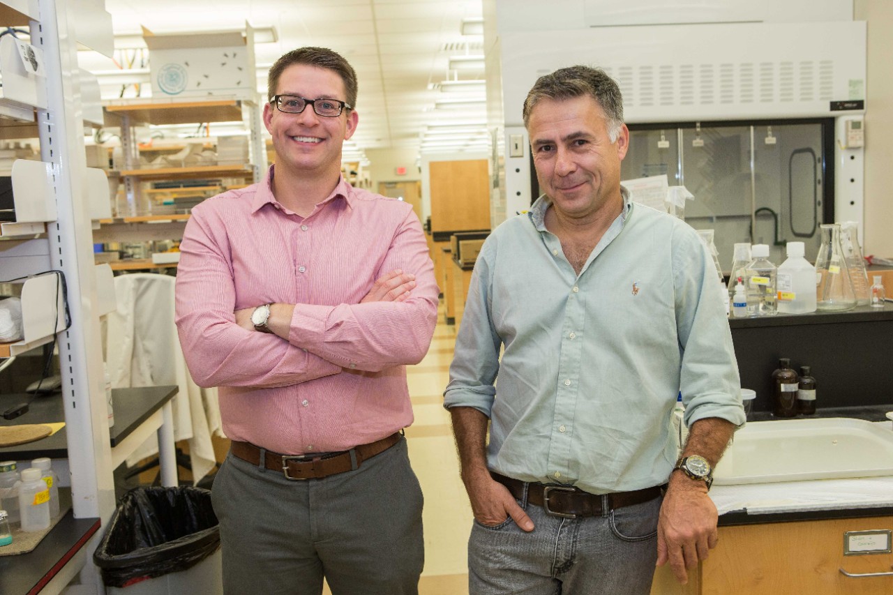 UC biology study: You are what your dad eats, University of Cincinnati
