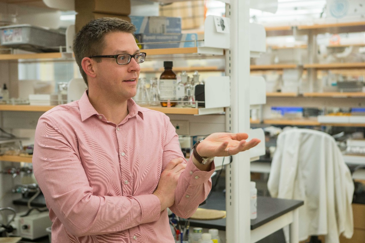 UC biology study: You are what your dad eats, University of Cincinnati