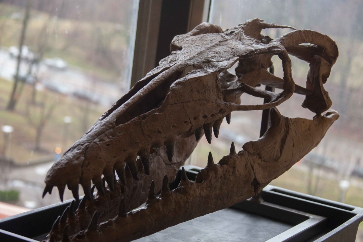 Big Bads of Cretaceous, University of Cincinnati