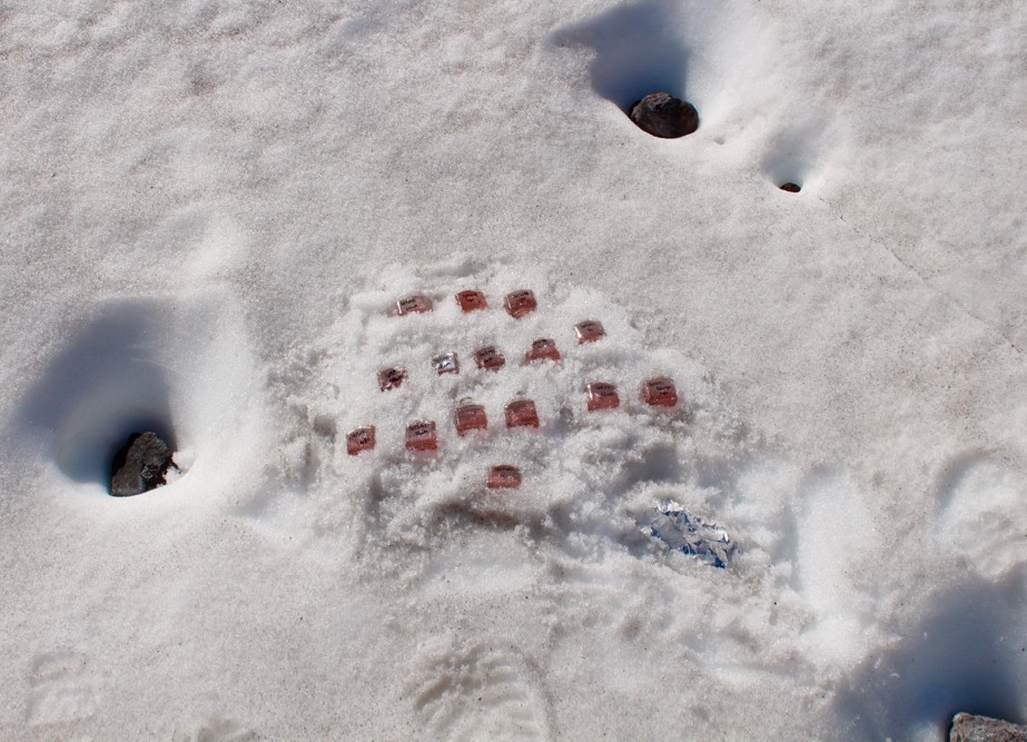 Pink snow, University of Cincinnati