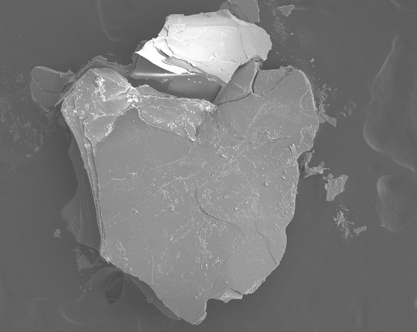 Platinum reign, University of Cincinnati