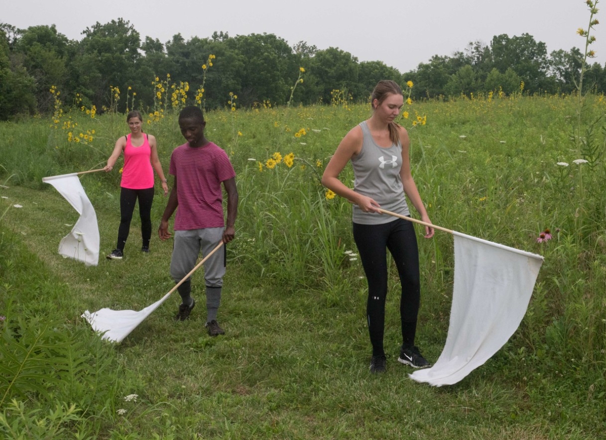 The Defenders: UC studies tick-borne illness, University of Cincinnati