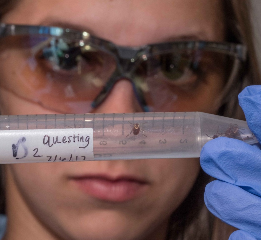 The Defenders: UC studies tick-borne illness, University of Cincinnati