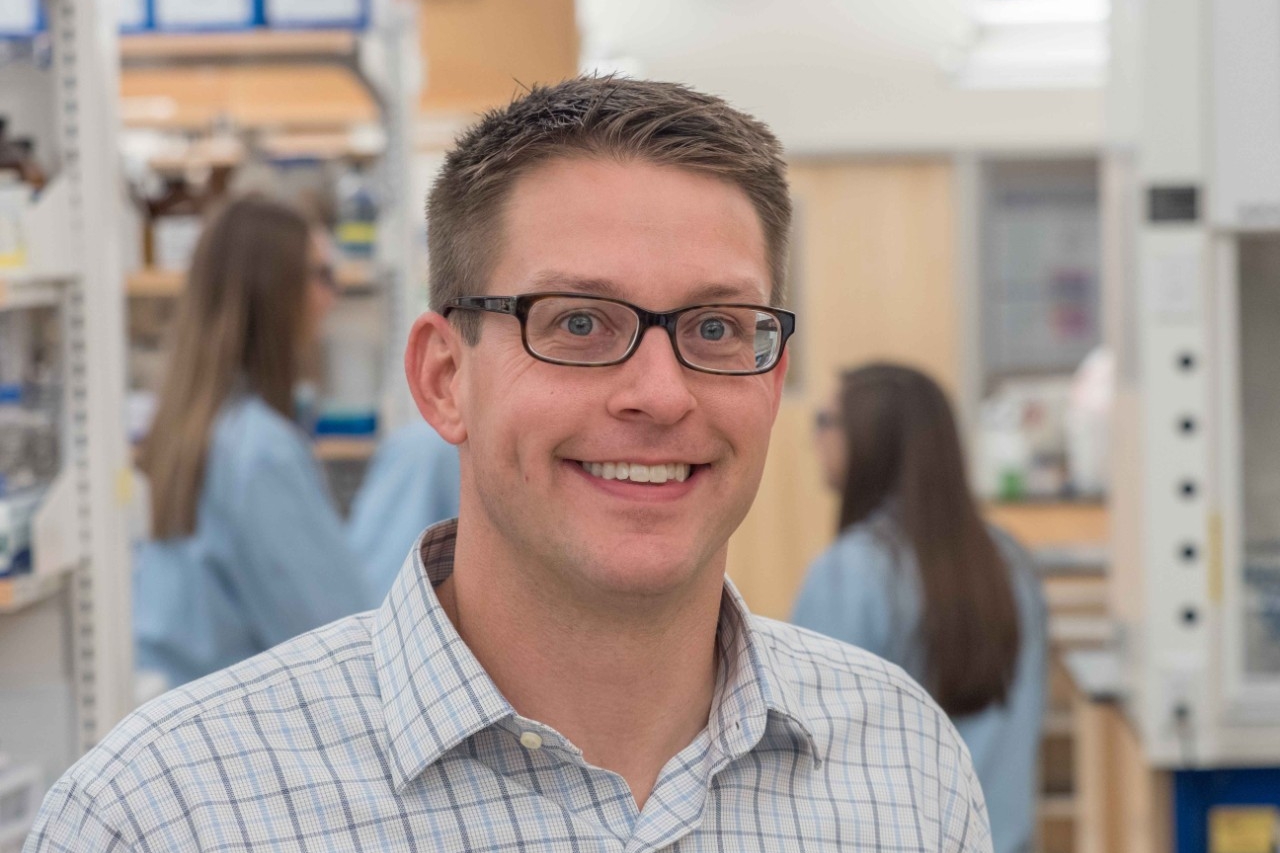 The Defenders: UC studies tick-borne illness, University of Cincinnati