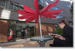 Let us explain a few things, University of Cincinnati