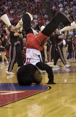 Former Bearcat mascots share their stories, University of Cincinnati ...